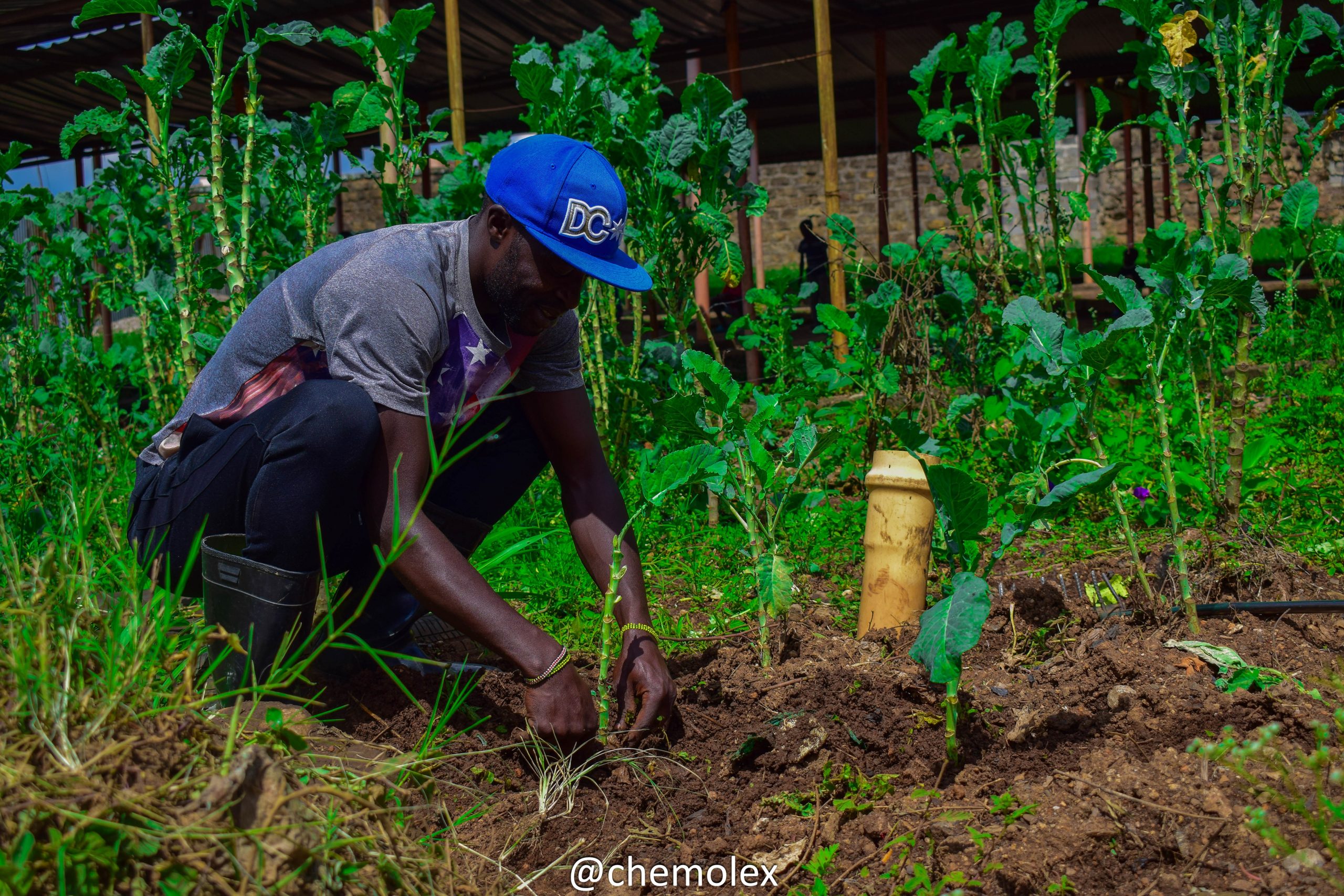 River Rehabilitation and Waste Management: An Unforeseen Challenge ...