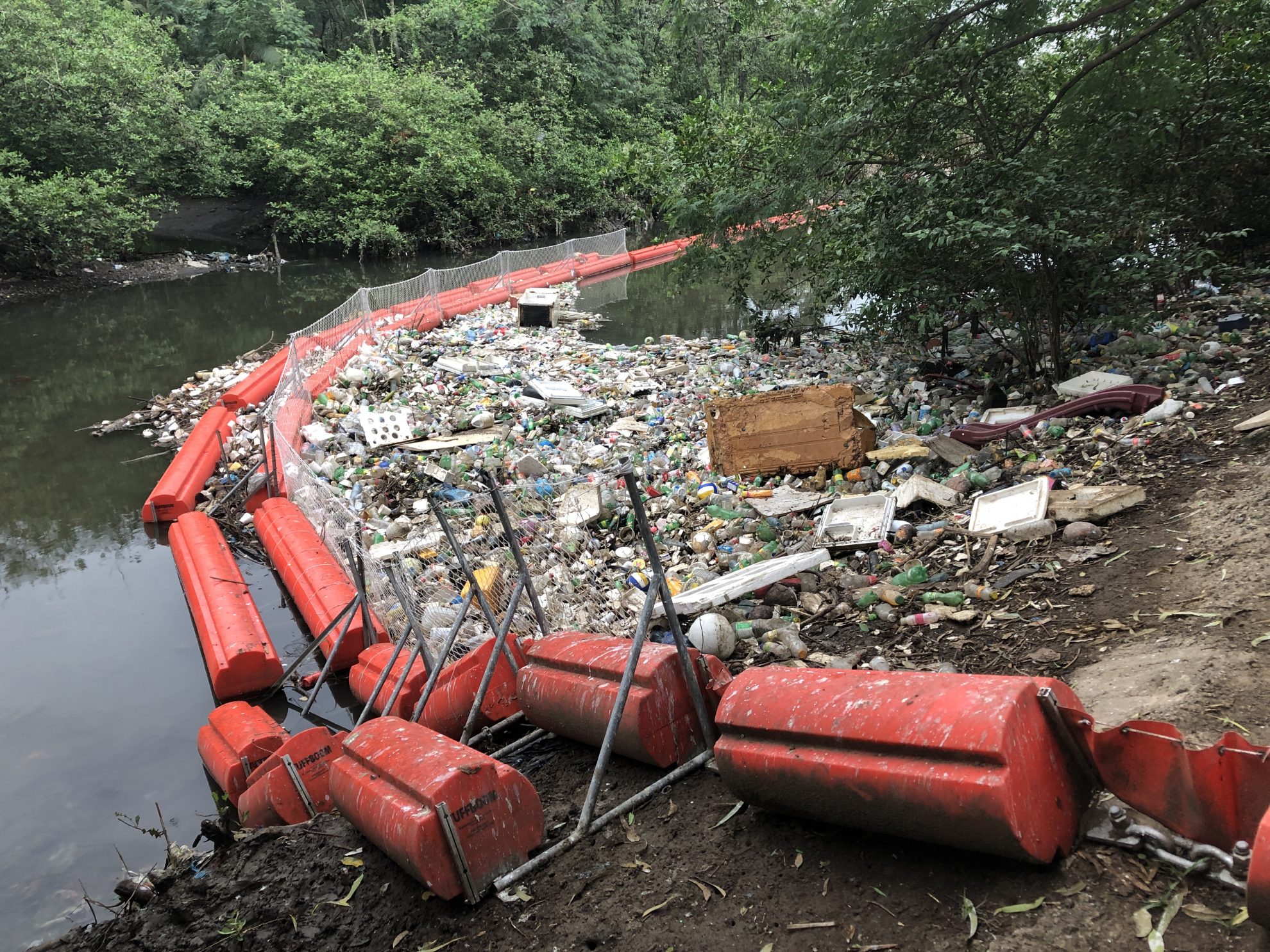 Our Backyard - Clean Currents Coalition