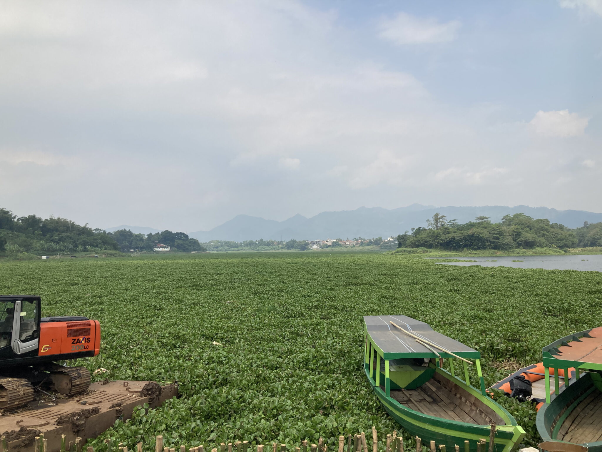 Hidden Secrets of the Water Hyacinth and the Guardians of the Citarum ...