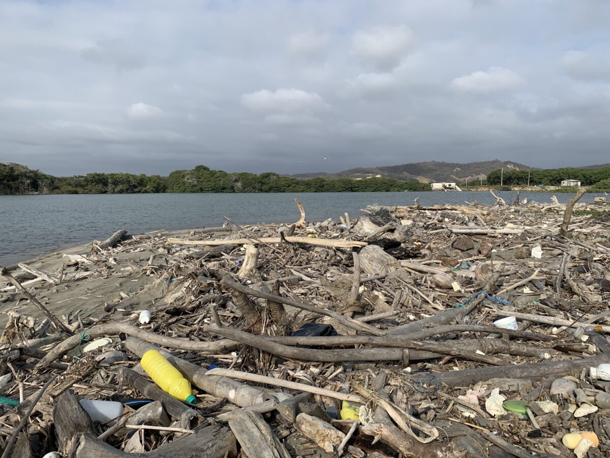 The Power of Collaboration - Clean Currents Coalition