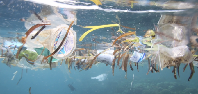 Is Capturing Plastics in Rivers a Wasted Effort? - Clean Currents Coalition