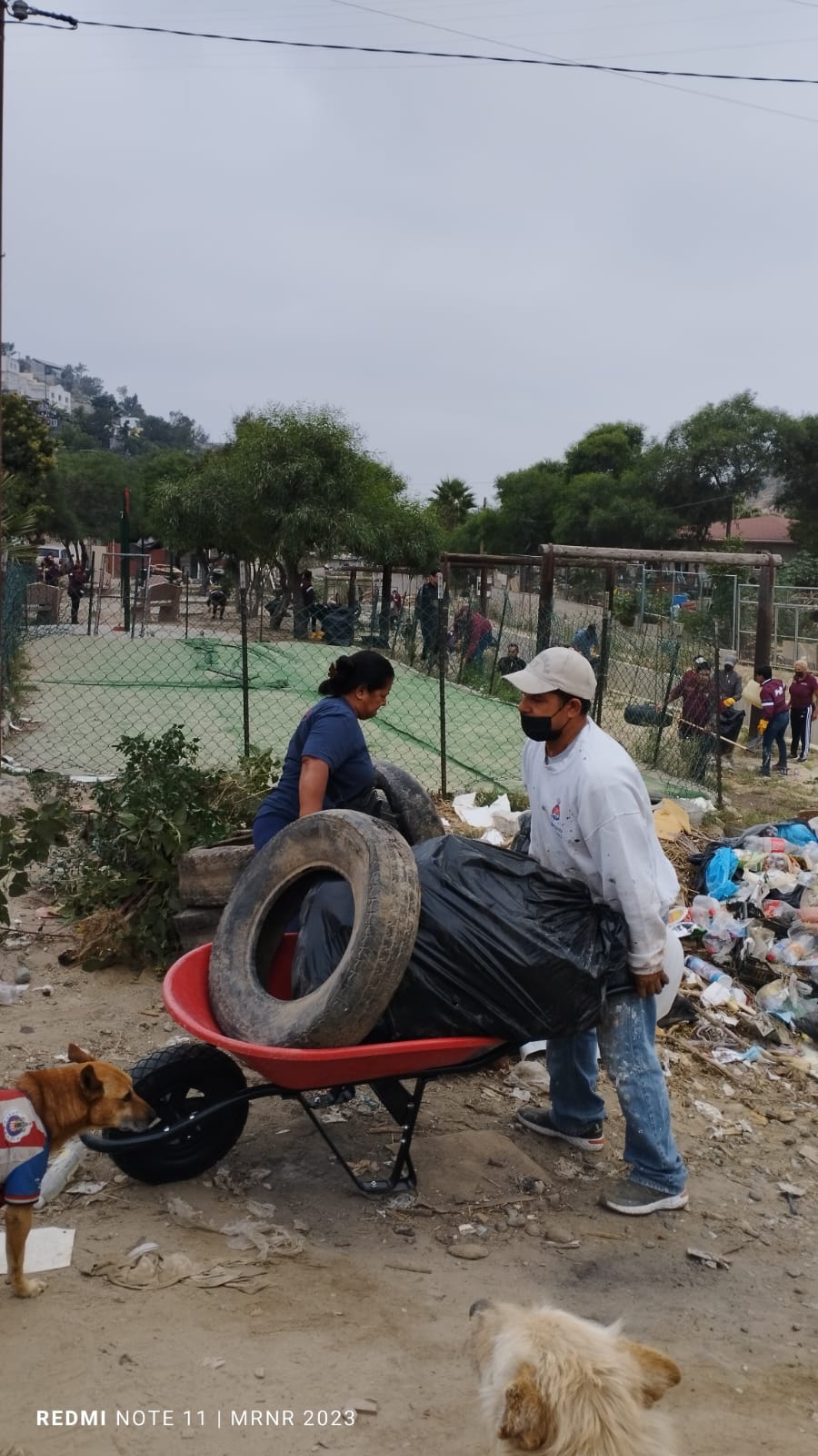 Fighting Marine Plastic Pollution Through Community Engagement - Clean ...